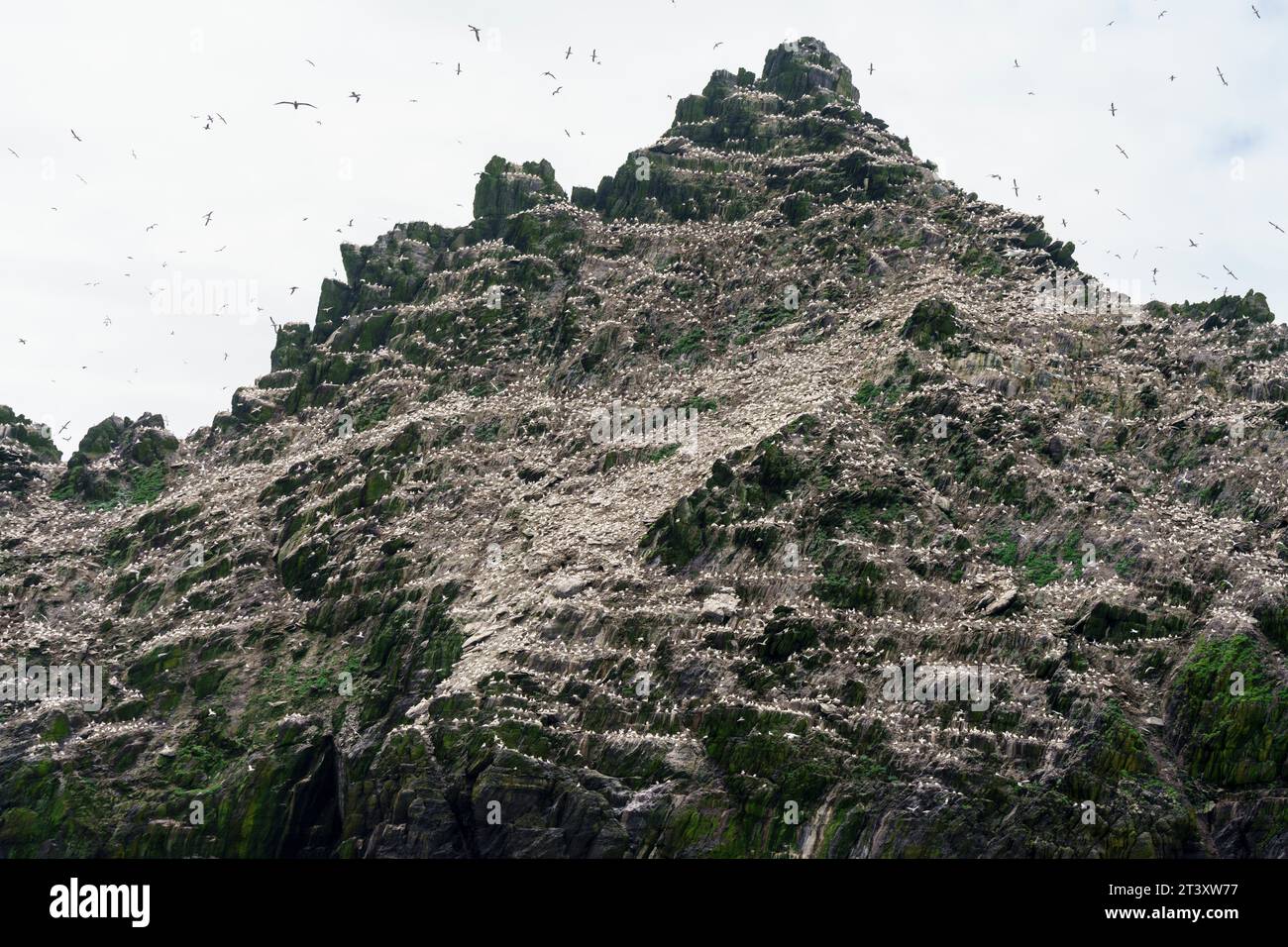 Skellig rock small hi-res stock photography and images - Alamy