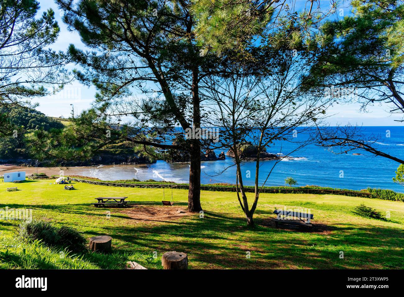Pine forest and meadow next to Porcía Beach at sunset. Porcía beach is ...