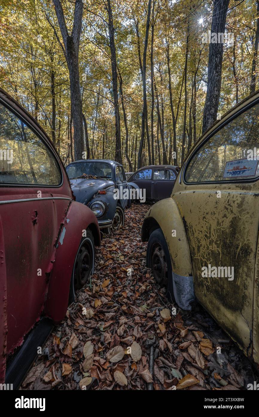 Volkswagen car graveyard PENNSLYVANIA THIS MYSTERIOUS graveyard is ...