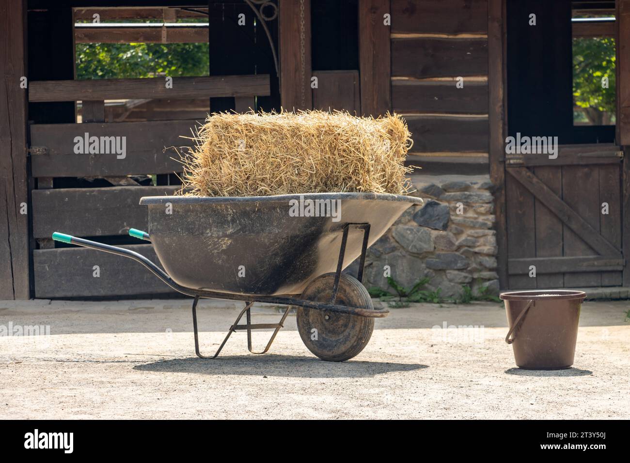 A wheelbarrow loaded with hay in front of a barn Stock Photo - Alamy
