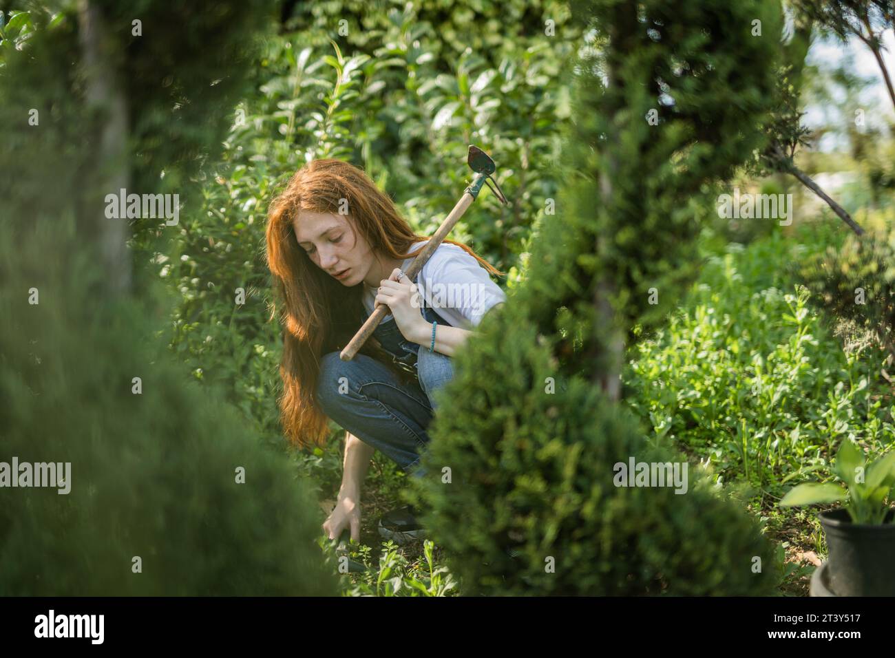 Gorgeous ginger girl planting flowers Stock Photo - Alamy