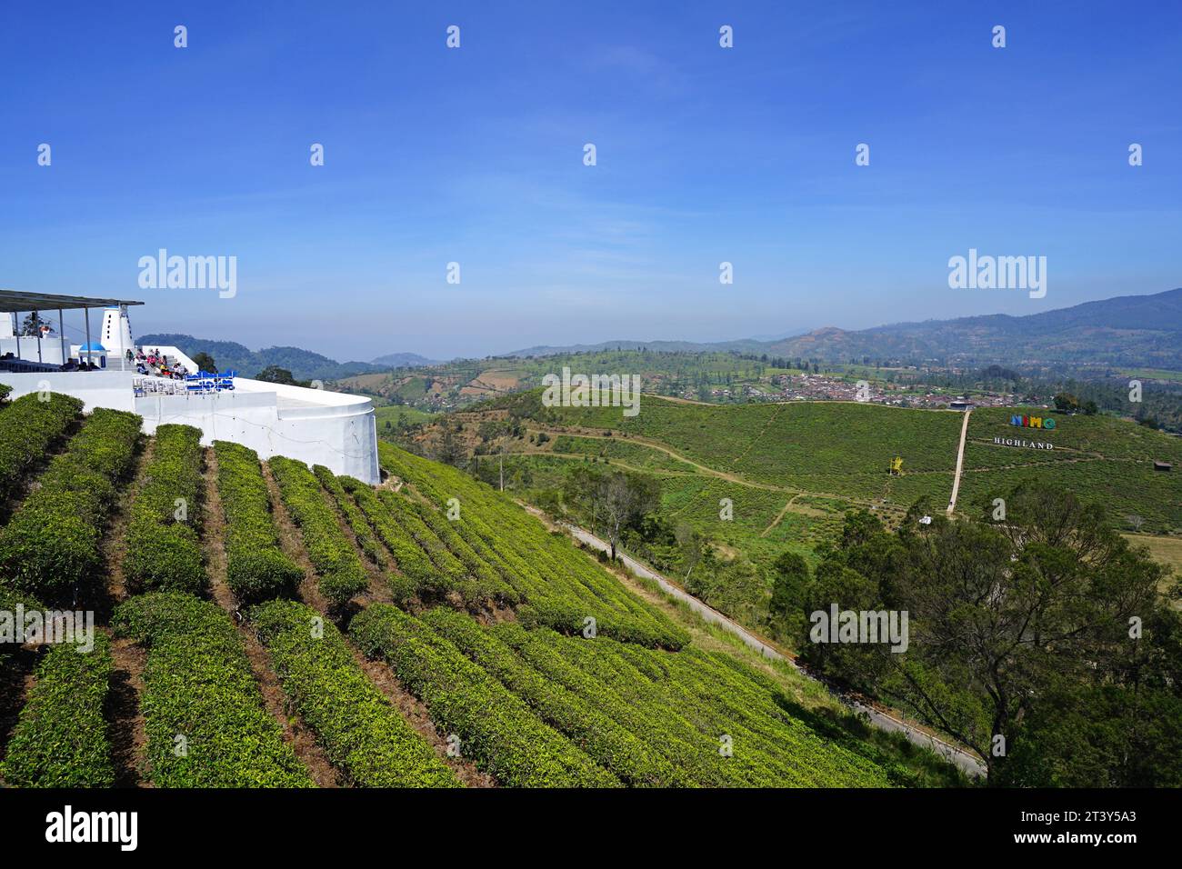 Nimo Highland Park at Tea Plantation Pengalengan Bandung, West Java ...