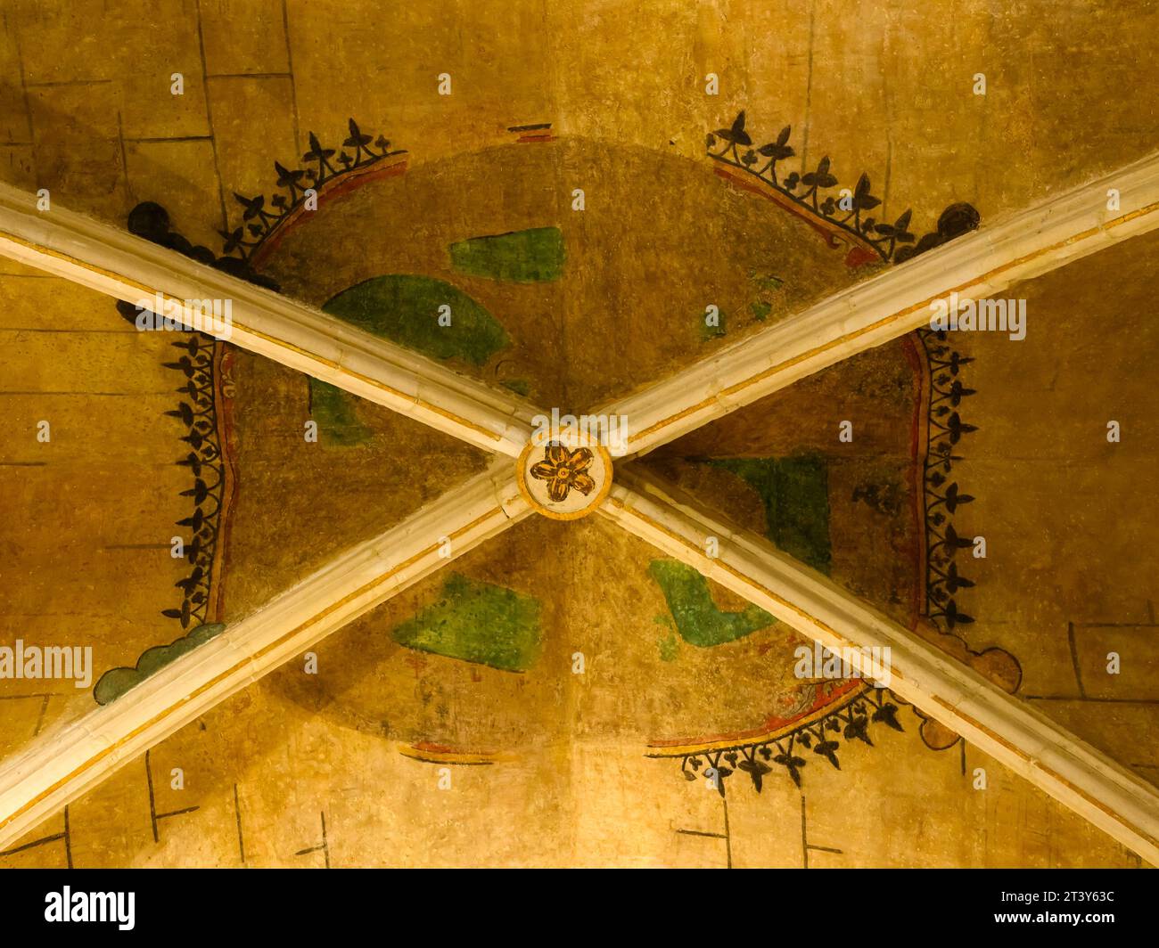 Murcia Cathedral, Spain. Arch ceiling with support structures and ...