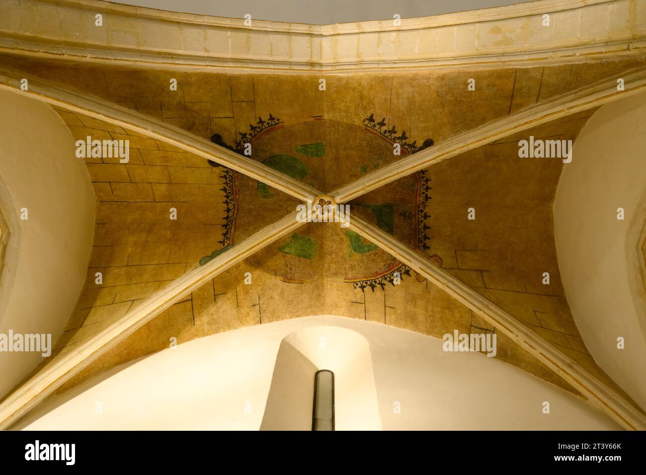 Murcia Cathedral, Spain. , Arch ceiling with support structures and ...