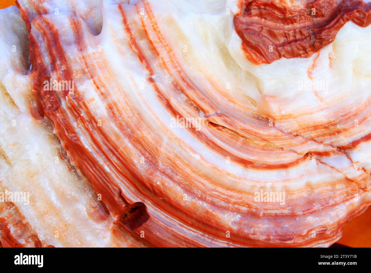 Muscle natural hi-res stock photography and images - Alamy