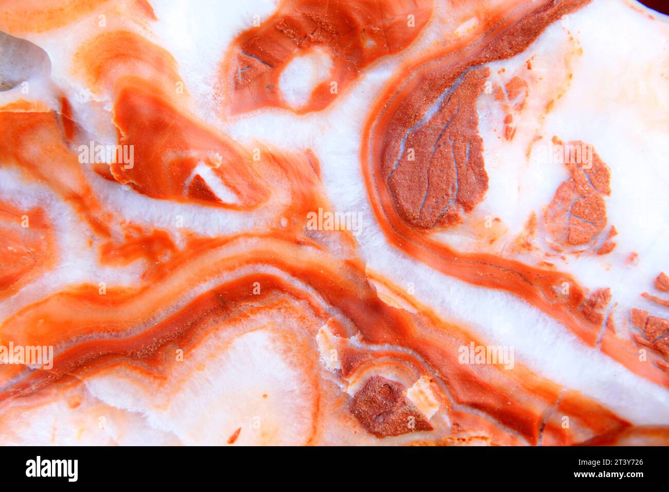 Muscle natural hi-res stock photography and images - Alamy