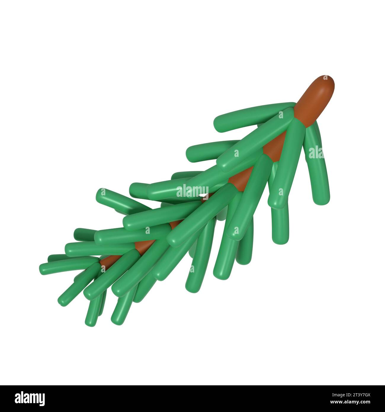 3d green lush spruce branch isolated render abstract evergreen tree hi ...