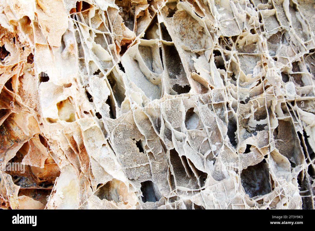 Rock texture in a geological park, closeup of photo Stock Photo - Alamy