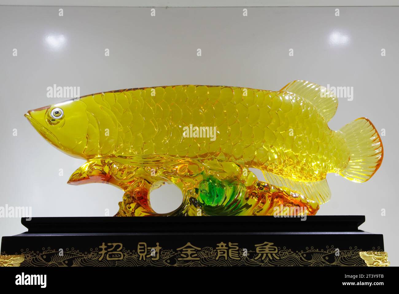 Dragon fish hi-res stock photography and images - Alamy