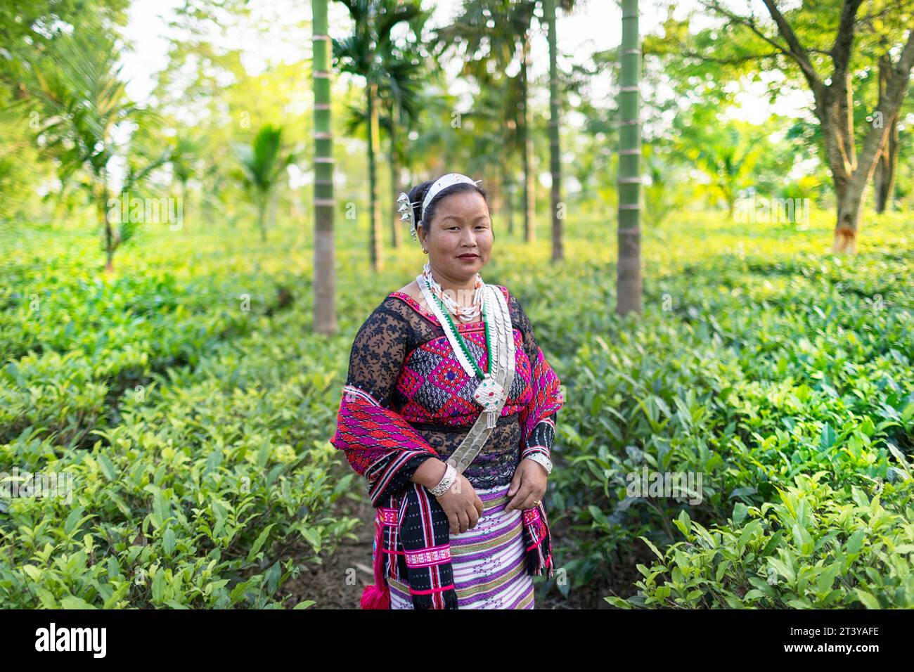 Woman from Adi tribe in traditional adi clothes posing in in the middle ...