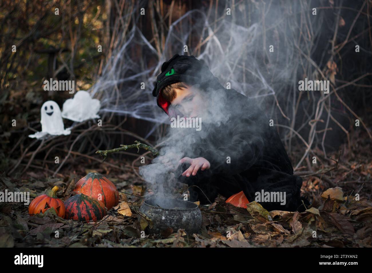 Happy Halloween. little sorcerer brews potion in witch's cauldron ...