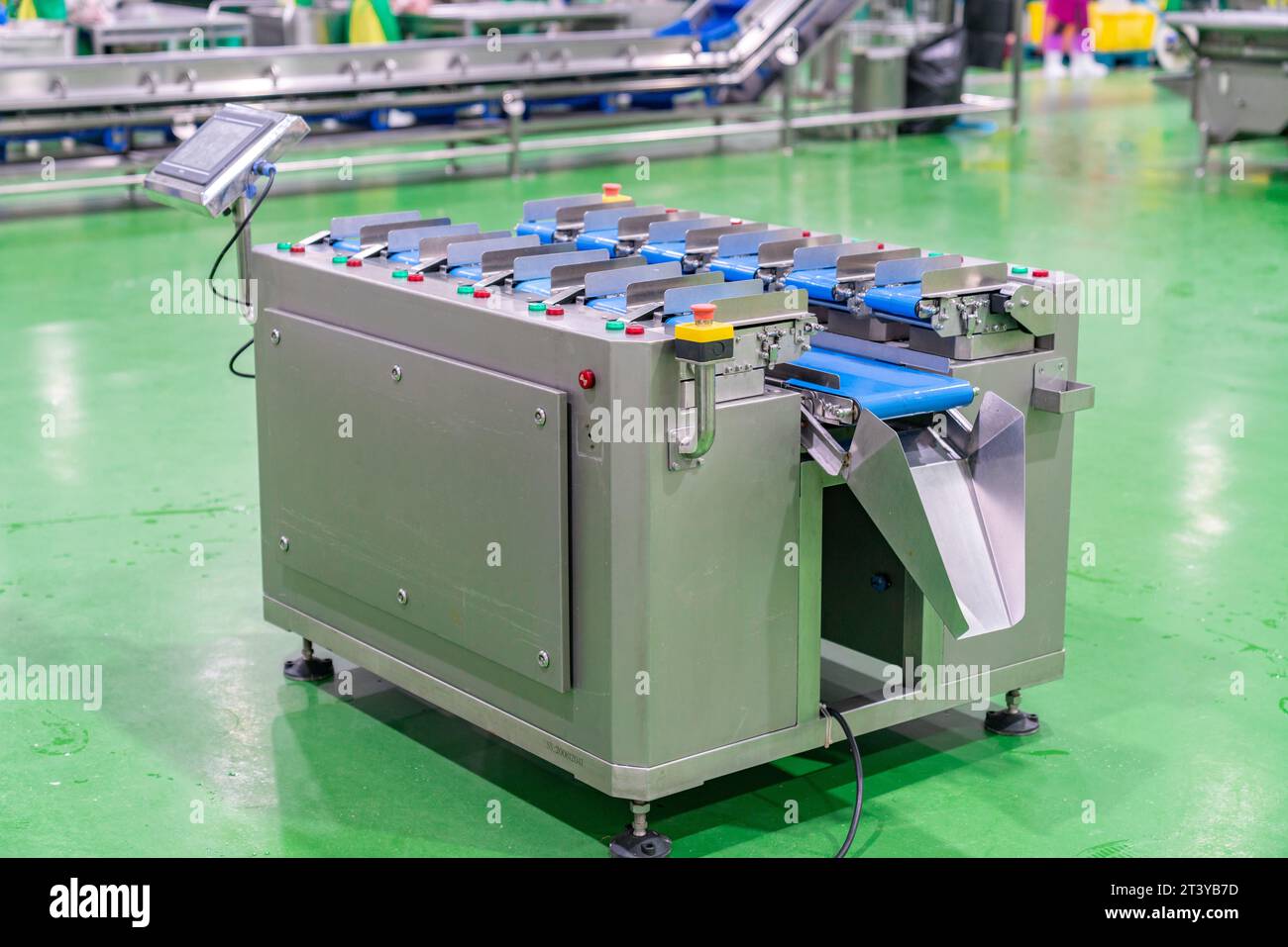 Weighing scale for weighing chicken meat to equal weight in poultry ...