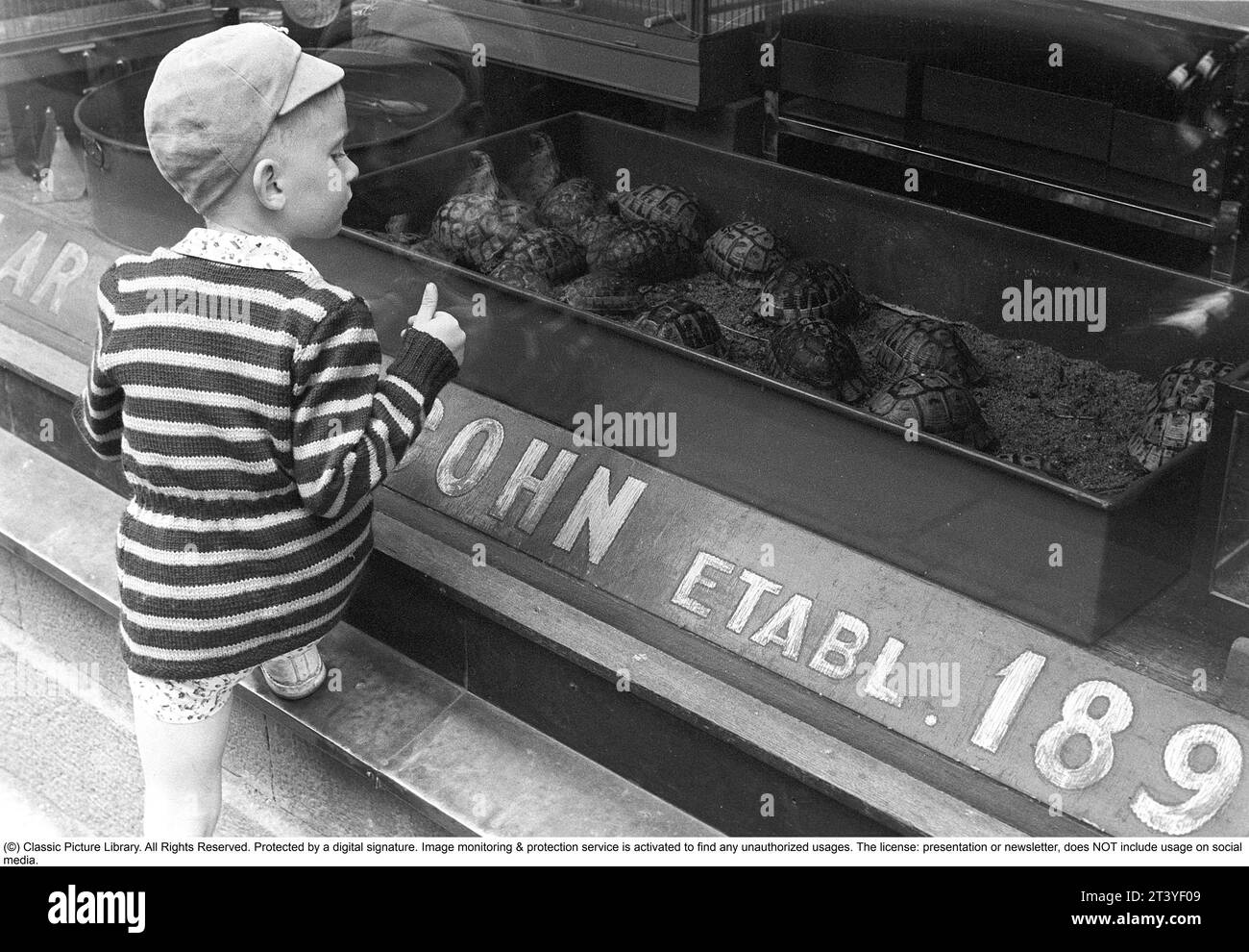 1920s shop hi-res stock photography and images - Alamy