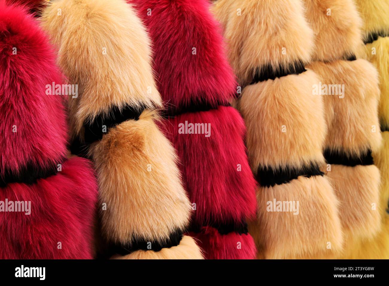 Well-organized fur clothing in a shop, north china Stock Photo - Alamy