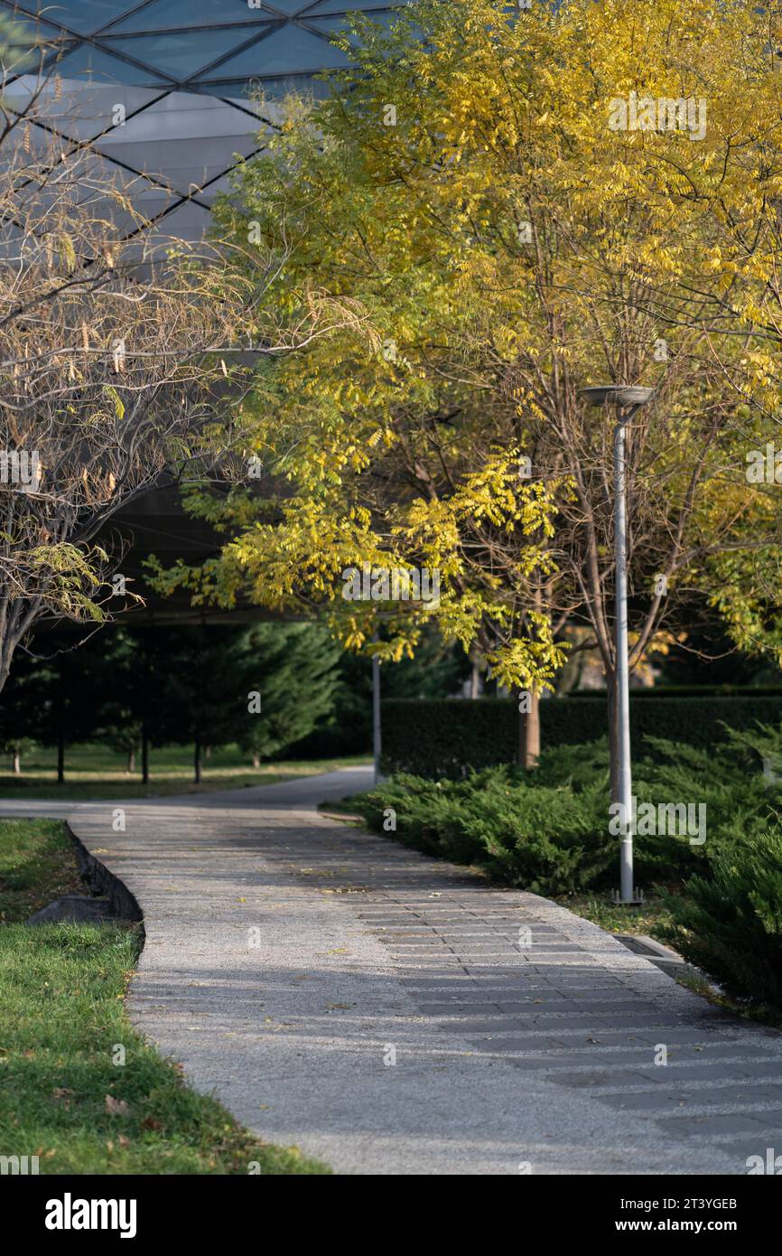 Autumn botanical park with wide path for walking and trees partially ...