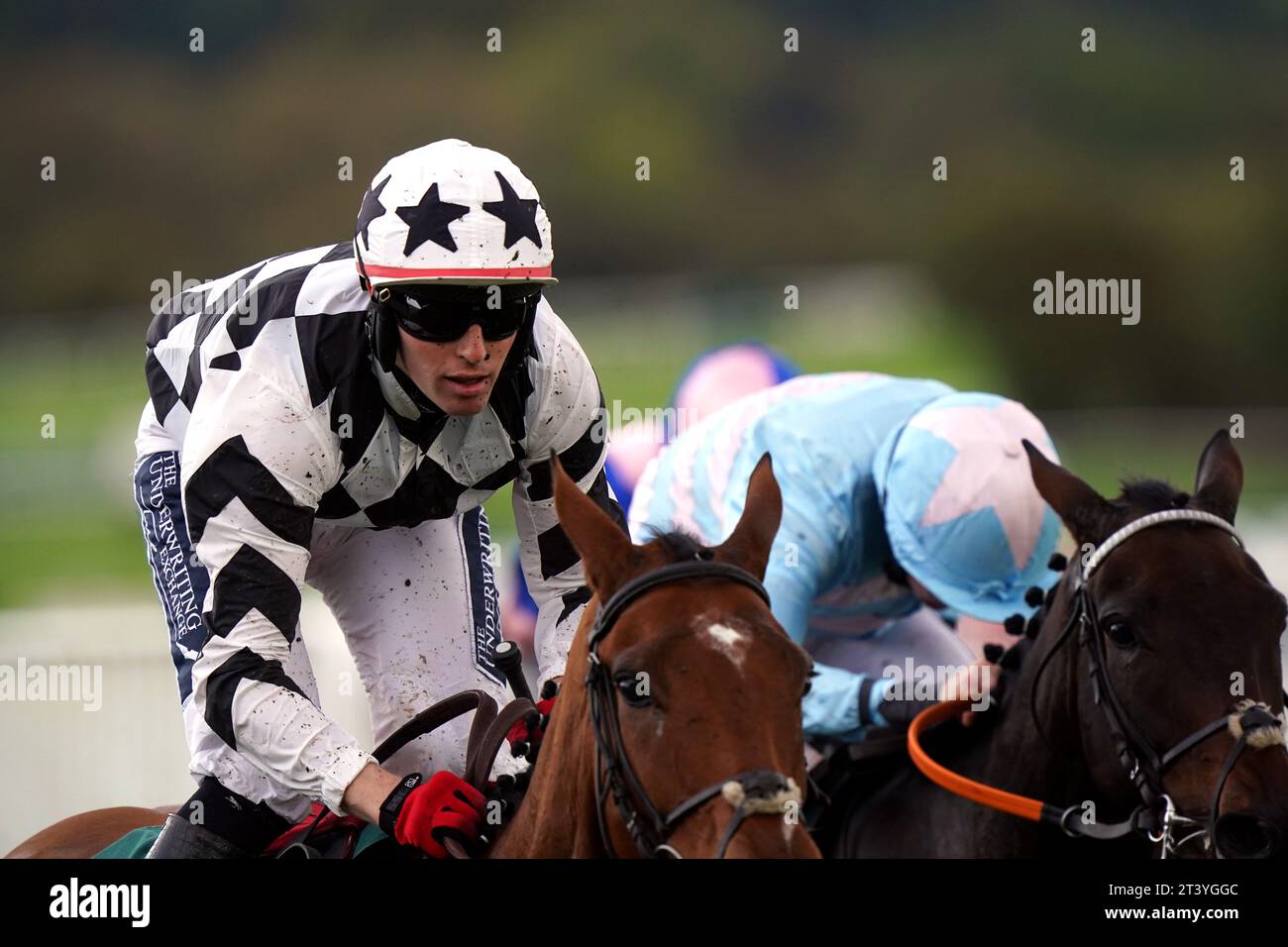 Encanto bruno horse hi-res stock photography and images - Alamy