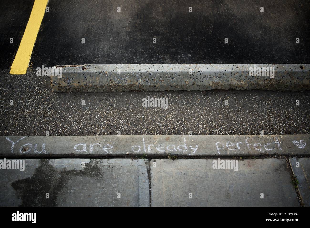 A blank white sign post on a concrete sidewalk with a street light ...
