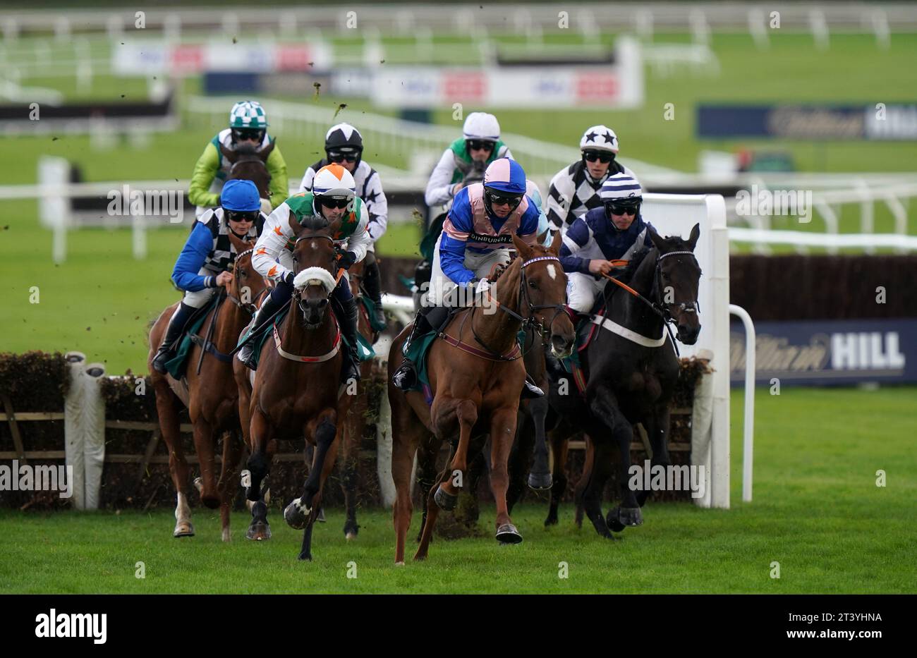 Cheltenham races 2023 horse hi-res stock photography and images - Alamy