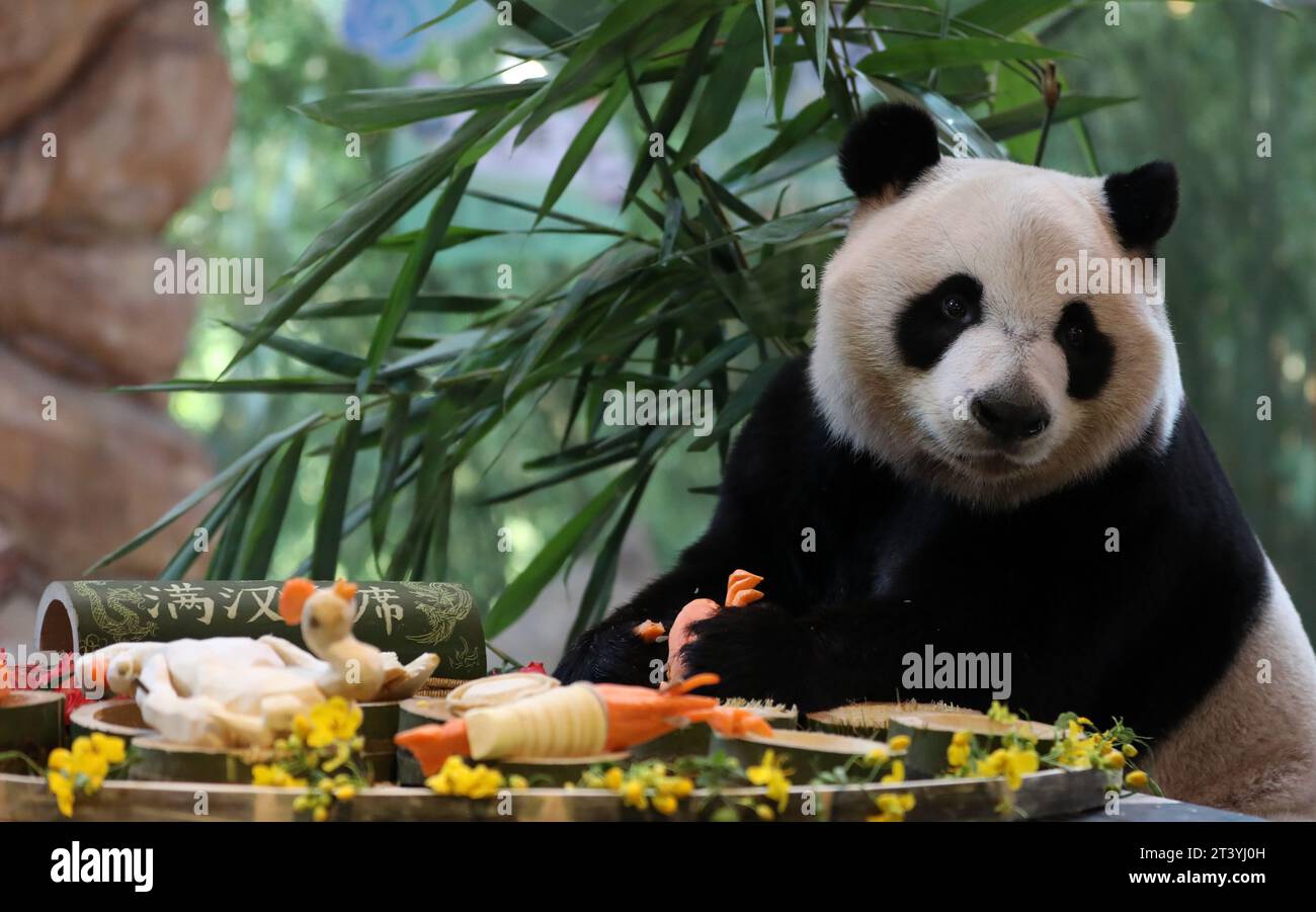 Guobao hi-res stock photography and images - Alamy