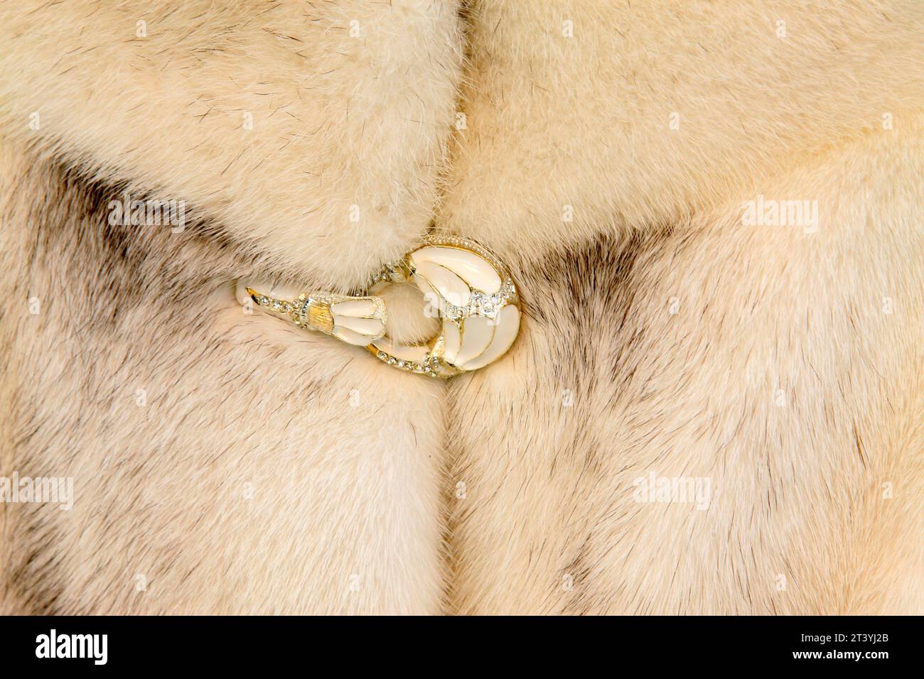 Fur clothing hi-res stock photography and images - Alamy