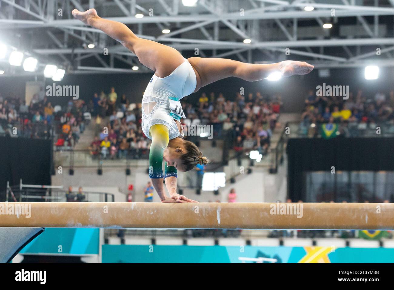 2023 chile flavia saraiva hi-res stock photography and images - Alamy