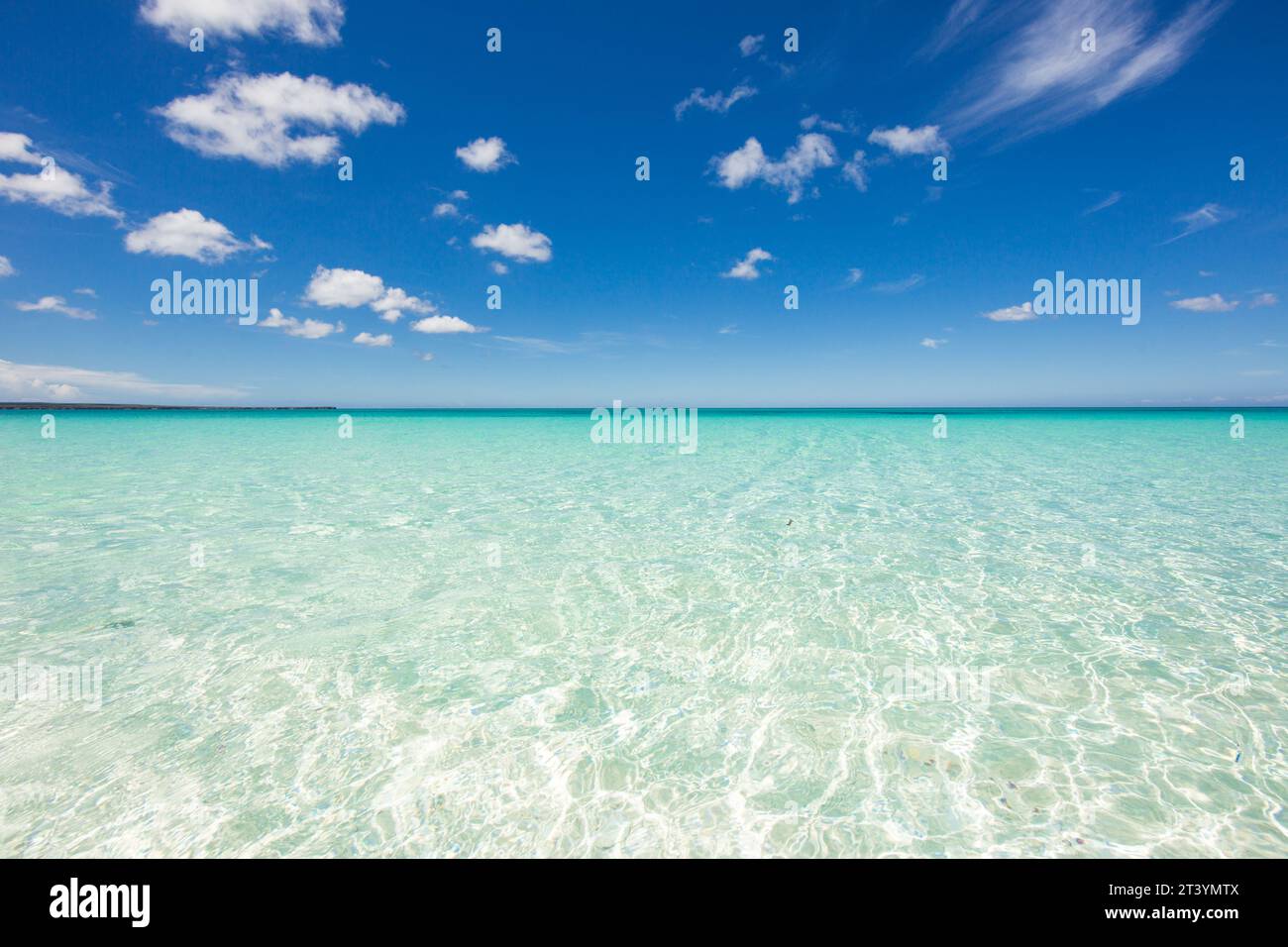 Edge of wave on the white sand on the Caribbean sea beach Stock Photo ...