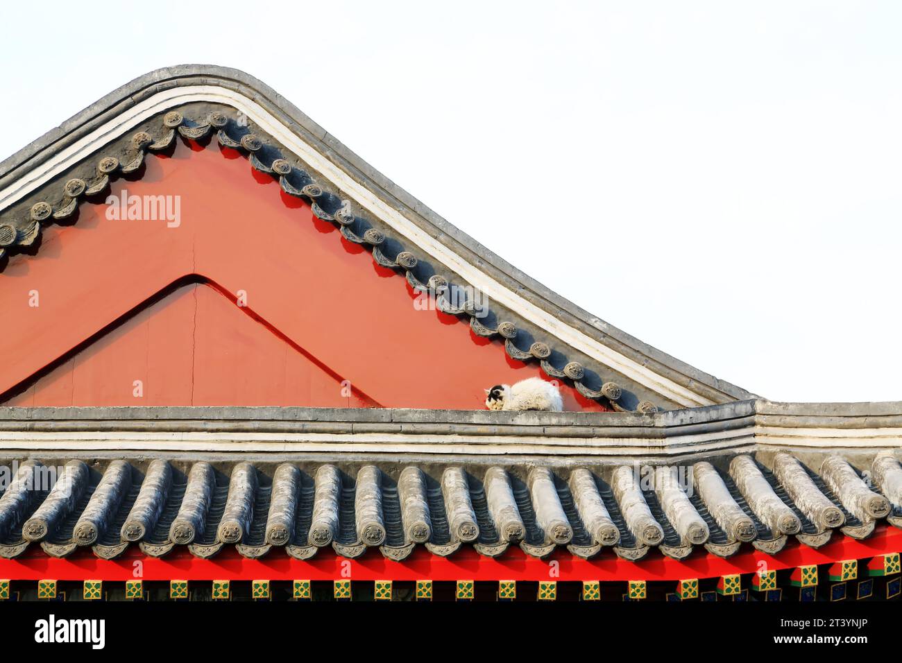 cat sleeping on the roof in the Zhongshan Park, beijing, china Stock ...