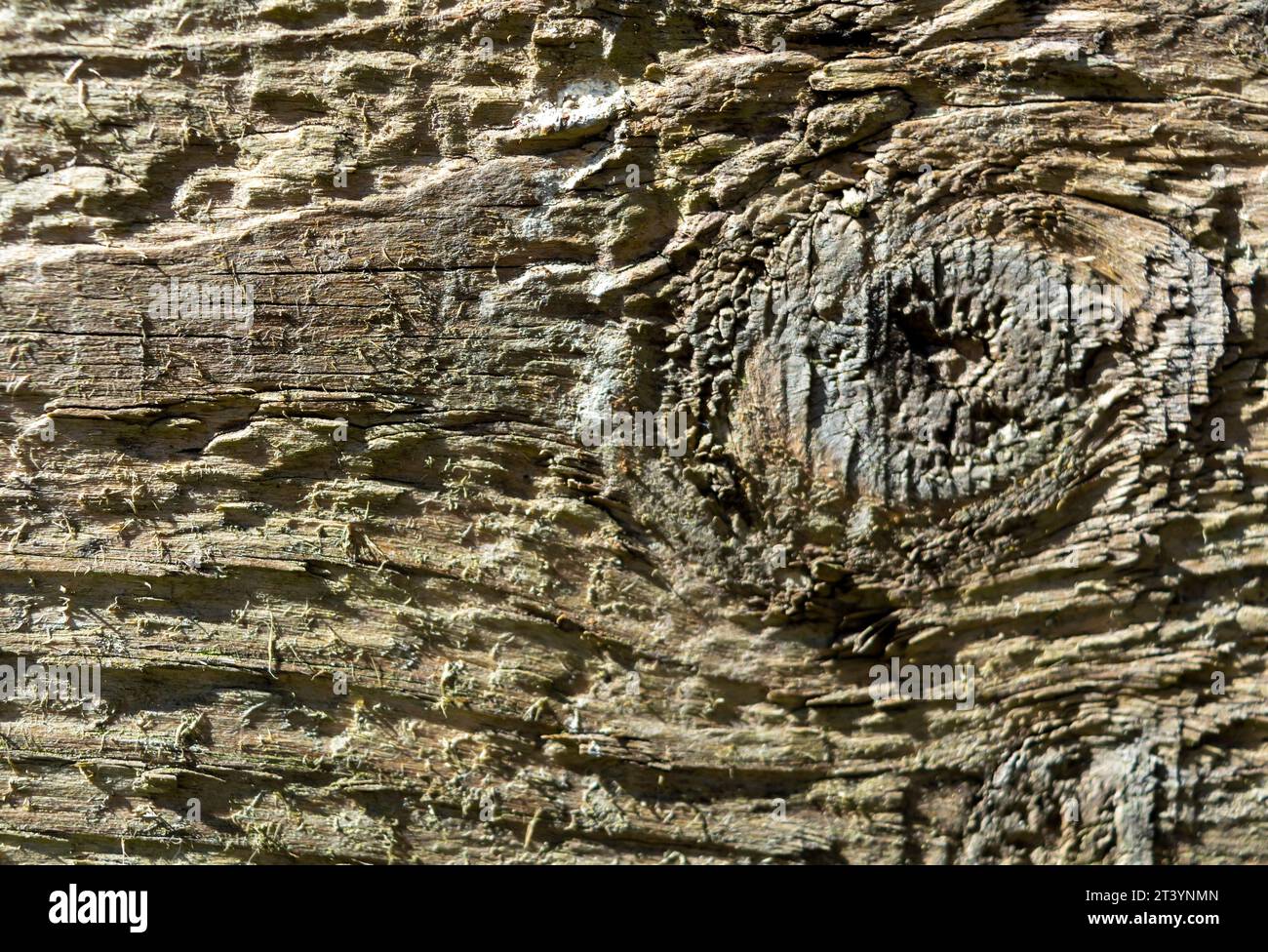 Background testure hi-res stock photography and images - Alamy