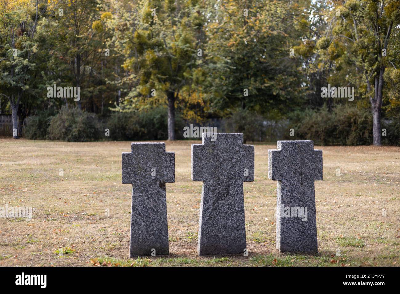 Stone tombstones in the German cemetery in the fall. Beautiful German ...