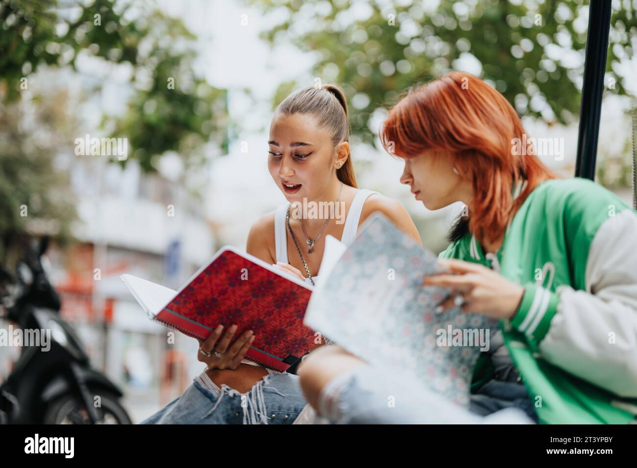 Two high school girls studying outdoors, discussing their school ...