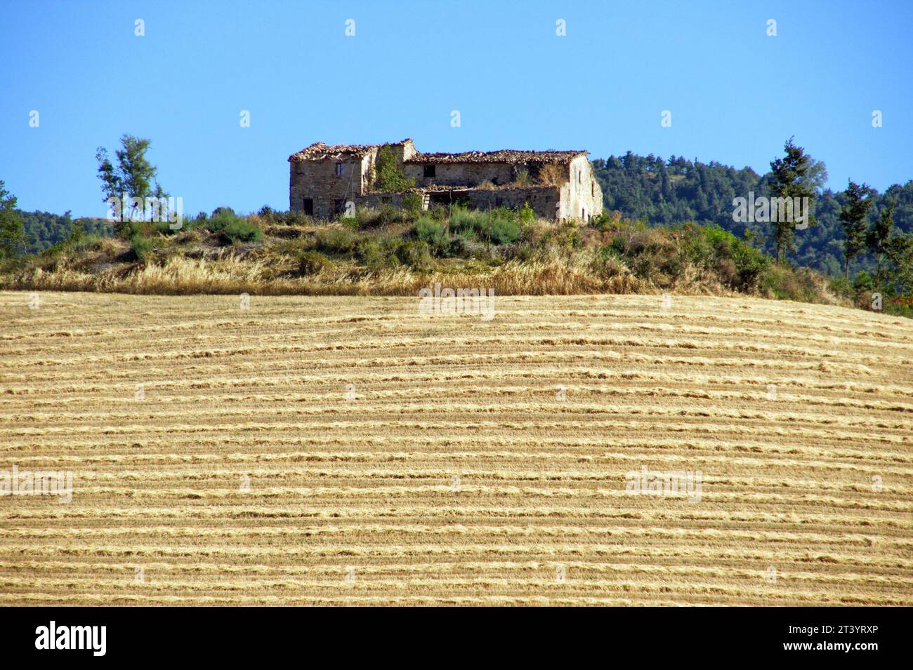 Una casa diroccata sulla cima di una collina con un campo appena ...