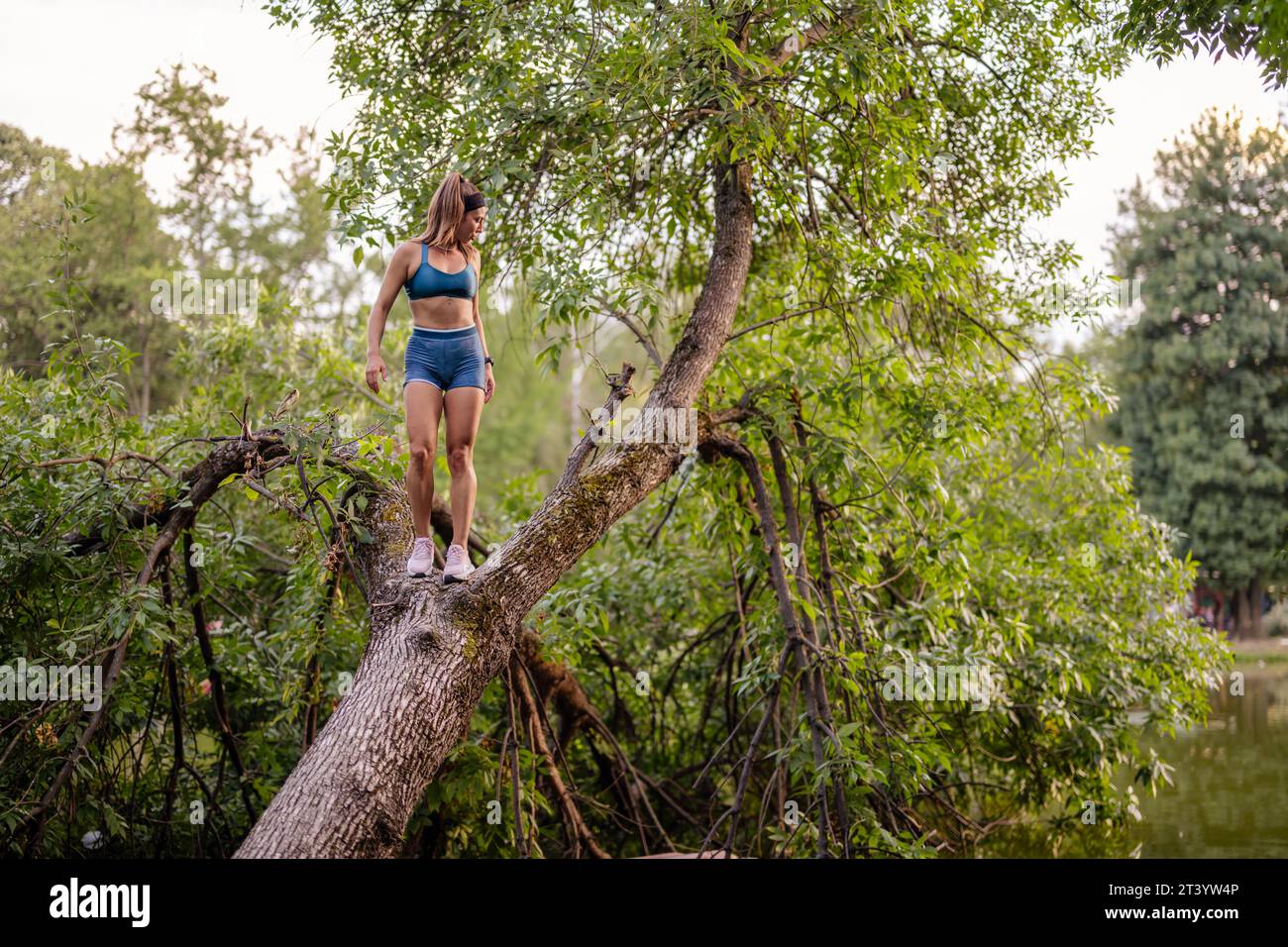 Fit girl climbing tree for outdoor workout in green park. Athletic body ...