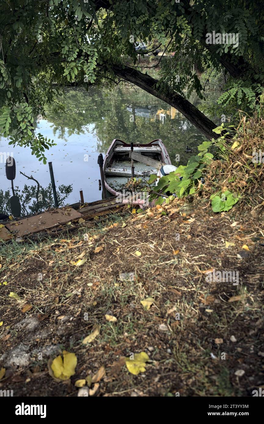 Moored boat under a tree arching on it Stock Photo - Alamy