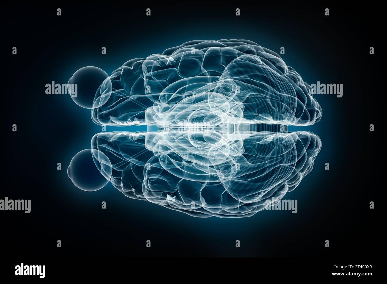 X-ray superior or top view of the full brain whit eyes 3D rendering ...
