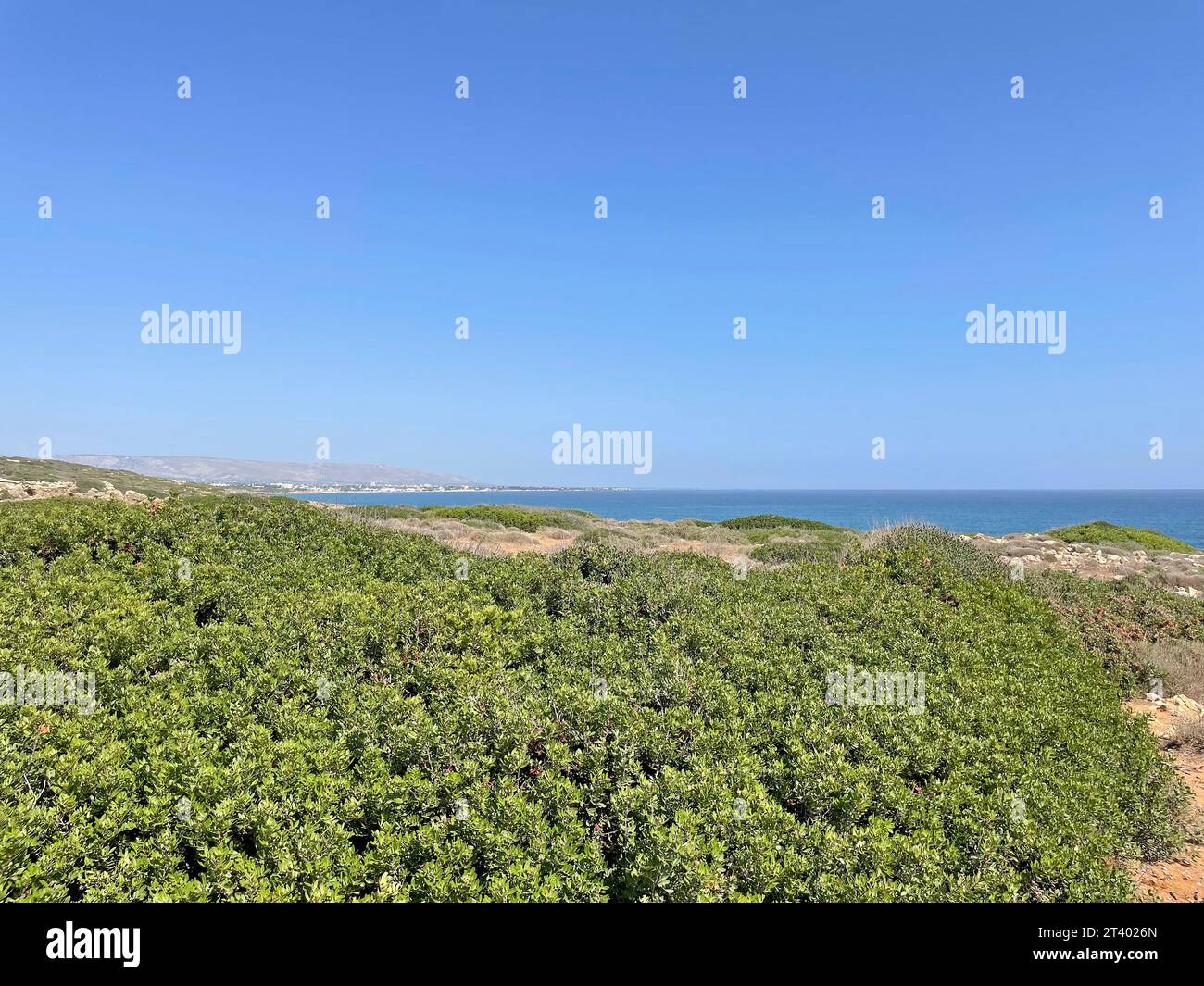 Italy, Sicily, Calamosche beach Stock Photo - Alamy
