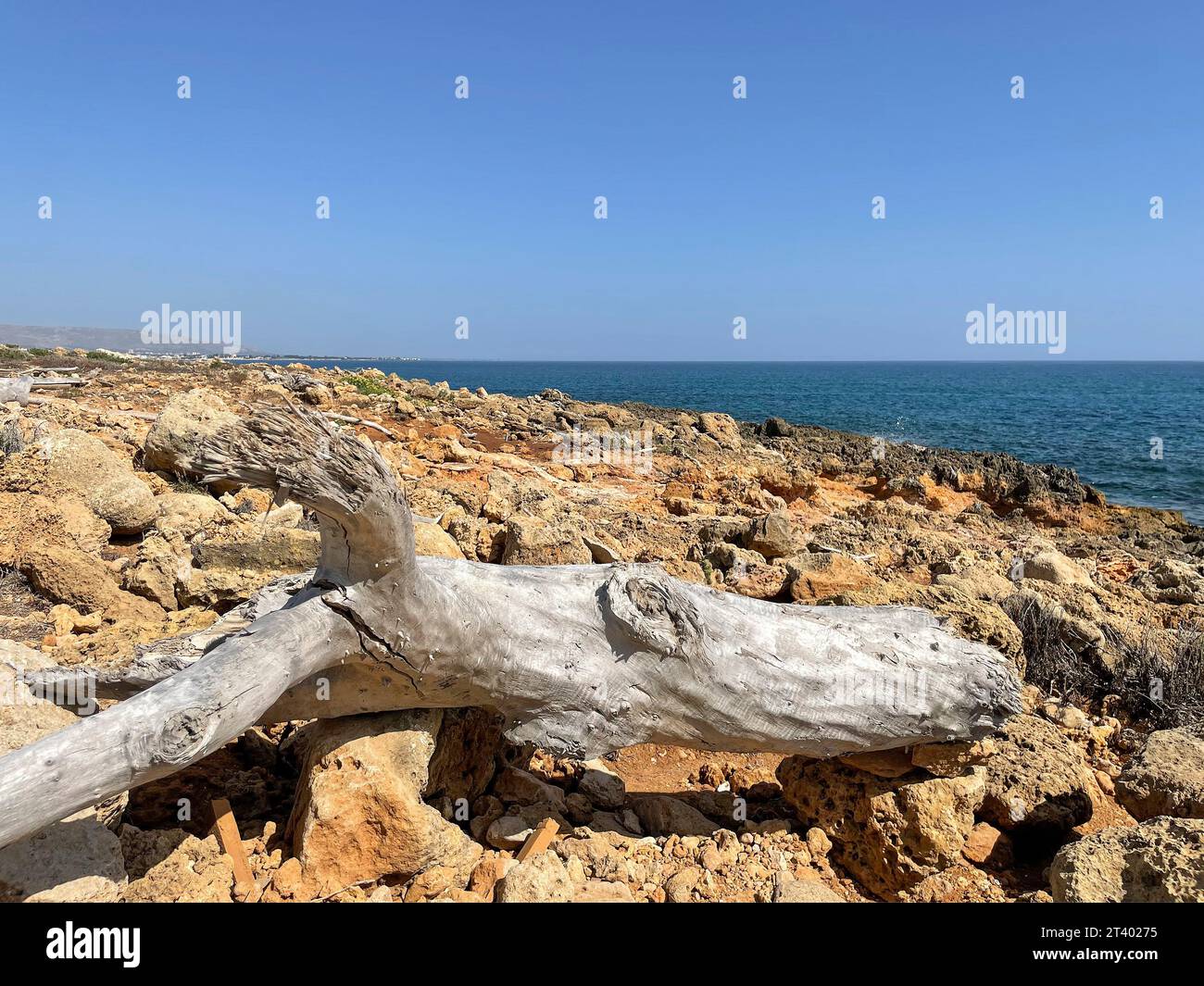 Italy, Sicily, Calamosche beach Stock Photo - Alamy
