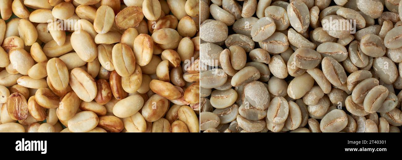 Coffee beans step by step hi-res stock photography and images - Alamy