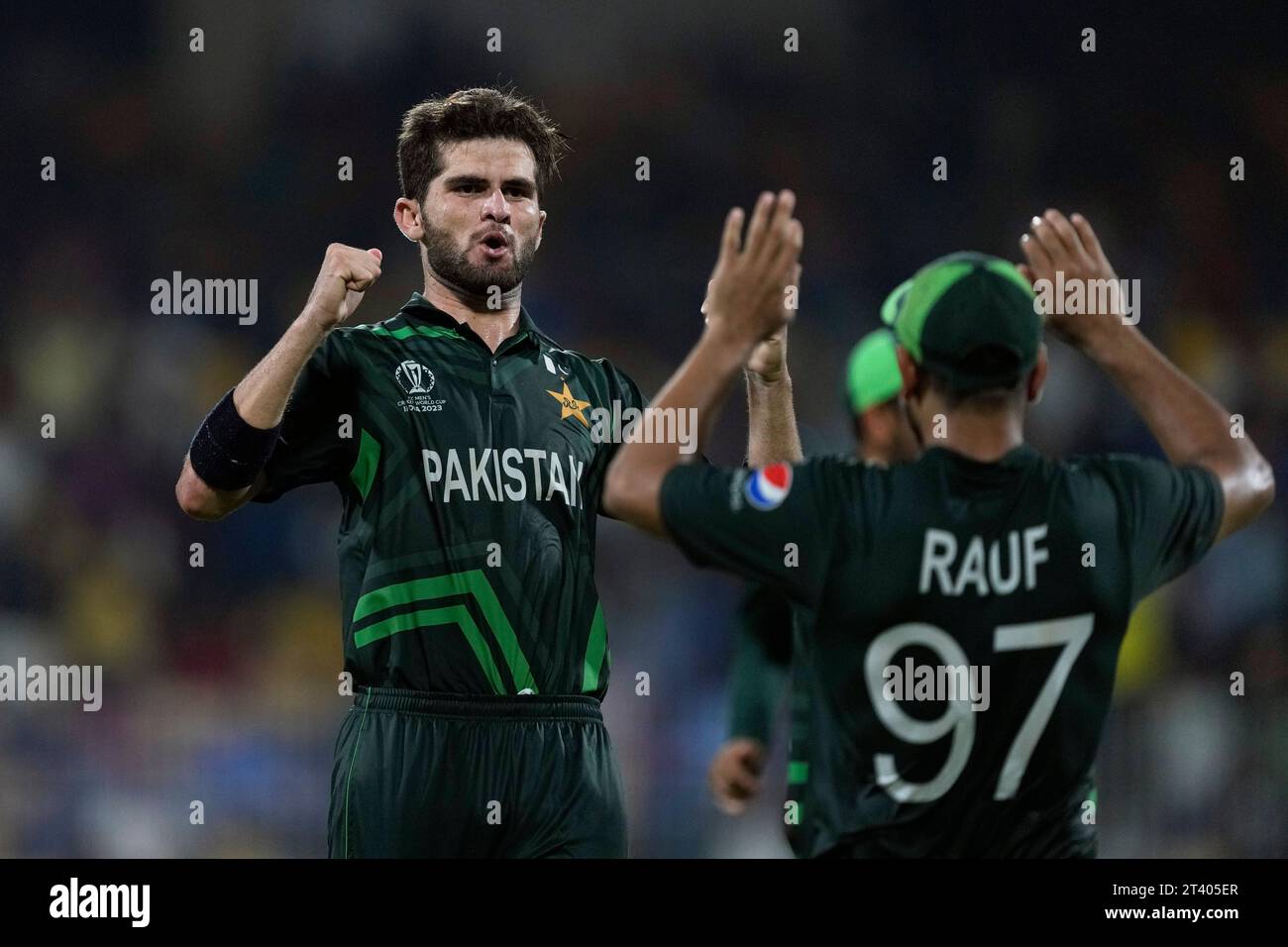 Pakistan's Shaheen Afridi celebrates the wicket of South Africa's ...