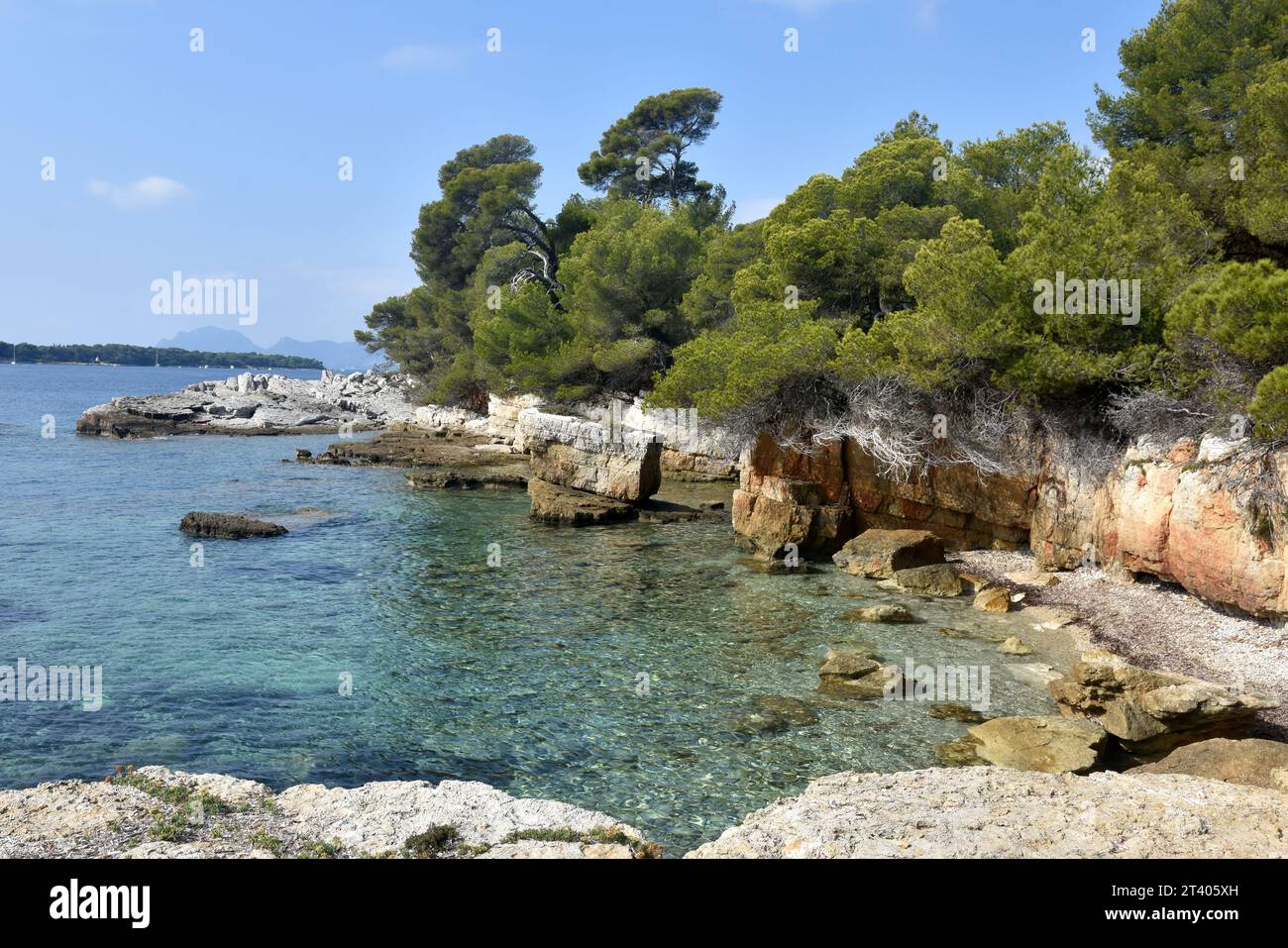 French riviera hiking flowers hi-res stock photography and images - Alamy