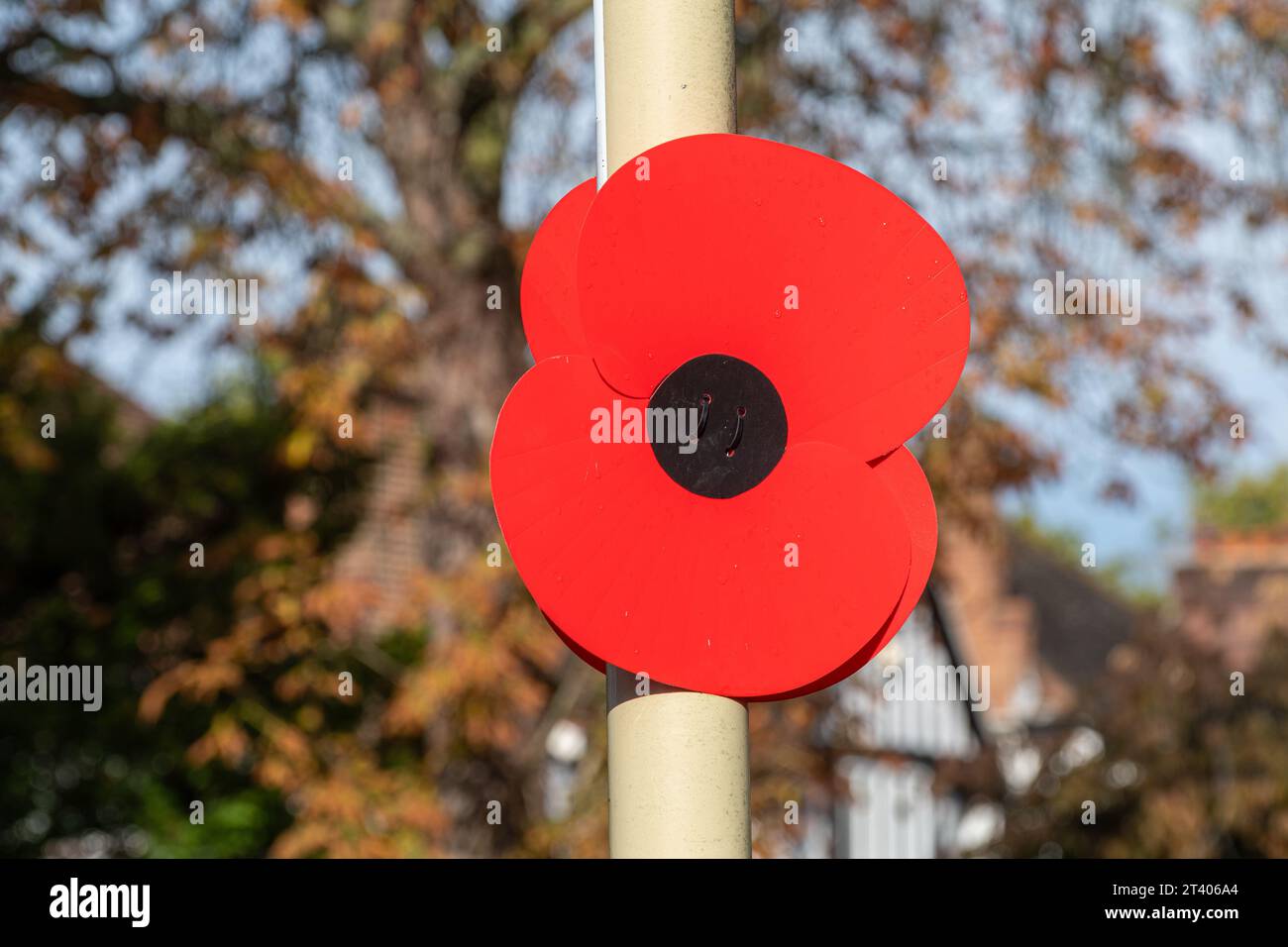 To honour armed forces killed in two world wars hi-res stock ...