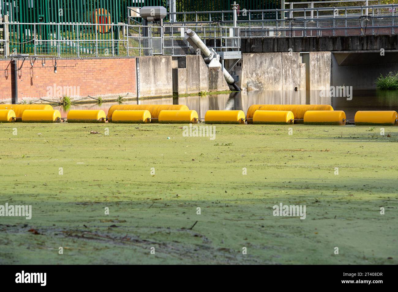 Taplow, UK. 27th October, 2023. There was a large amount of white foam ...