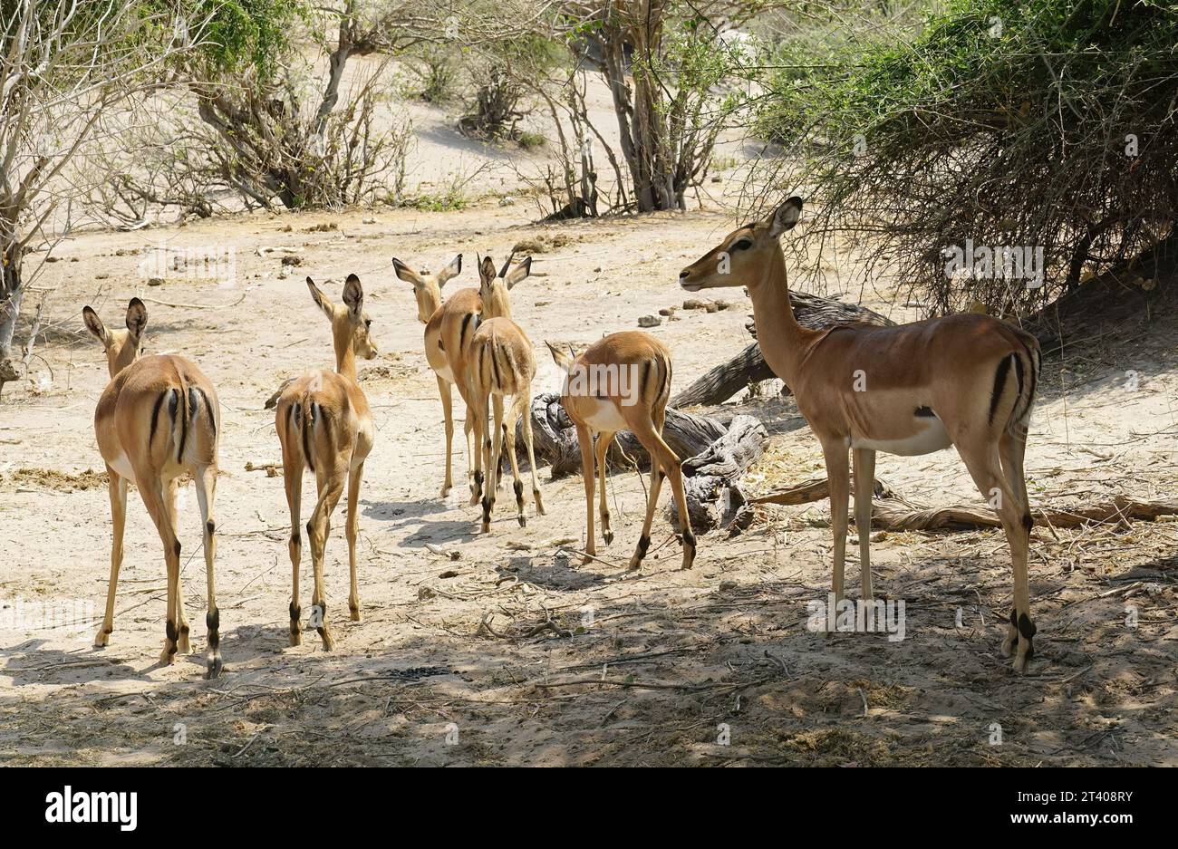 Lat 17 84330100 hi-res stock photography and images - Alamy
