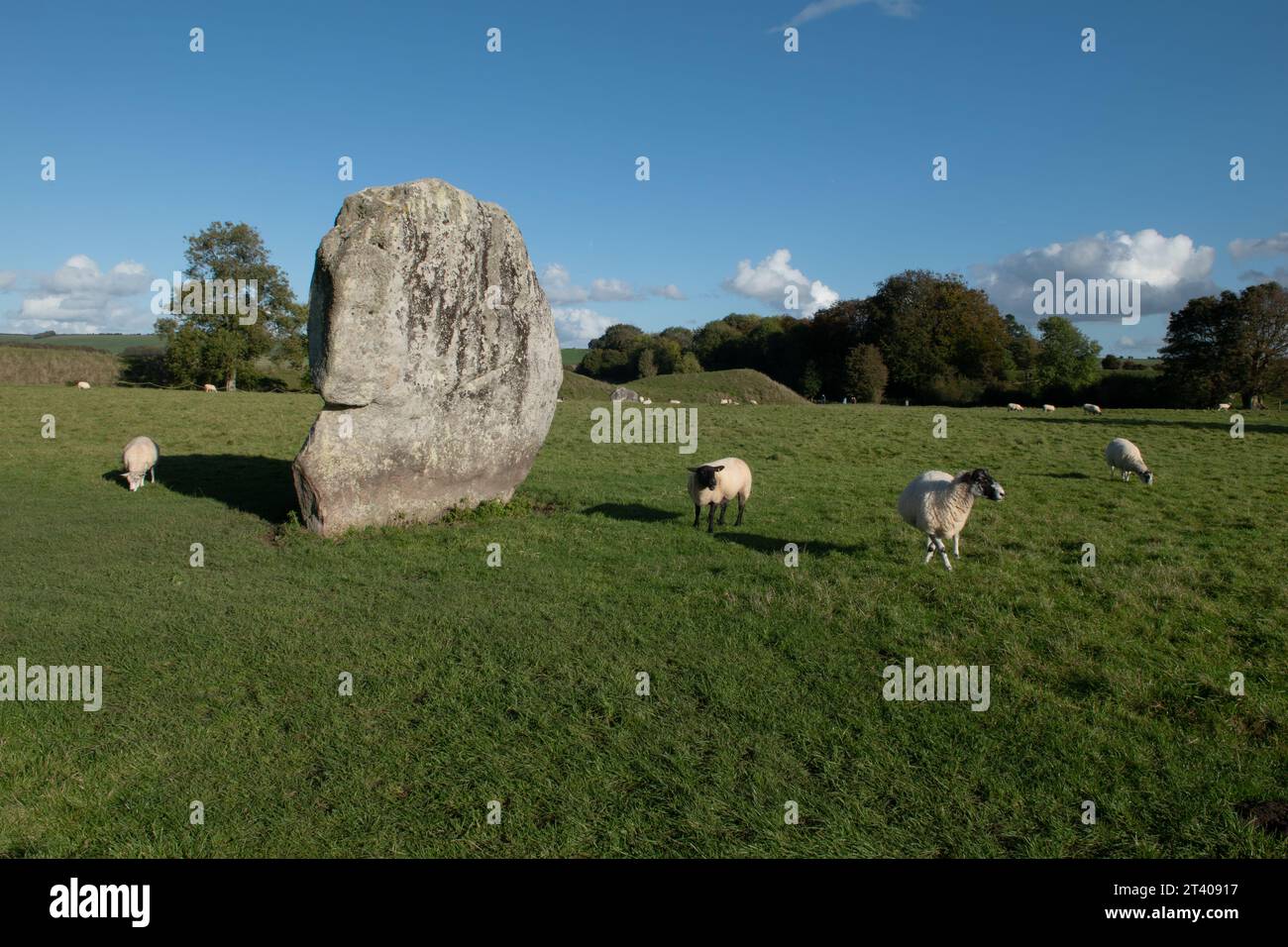 Sarsen standing stone hi-res stock photography and images - Alamy