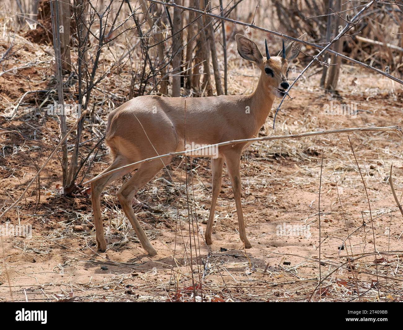 Lat 17 84547000 hi-res stock photography and images - Alamy