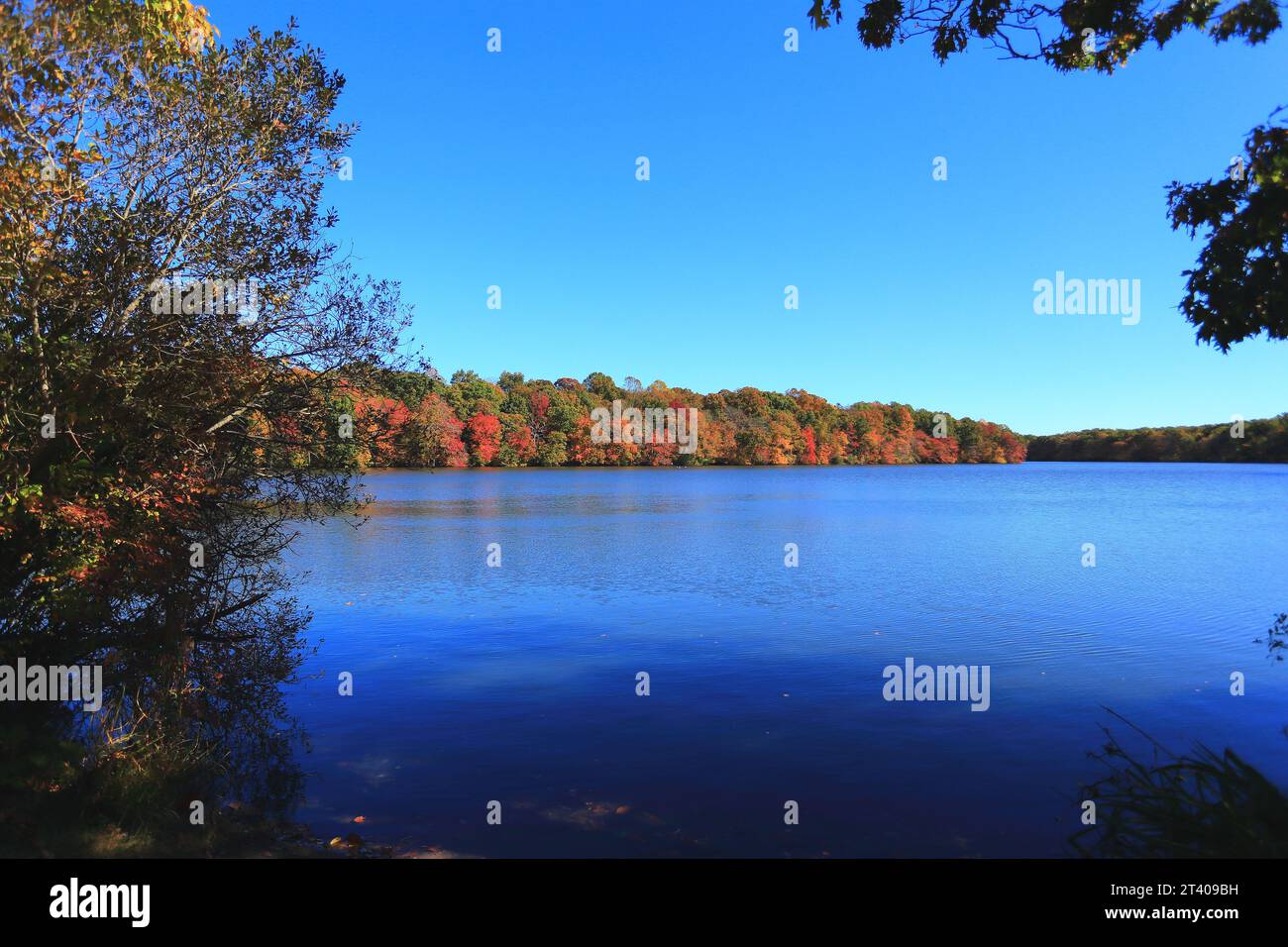 Blydenburgh park hi-res stock photography and images - Alamy