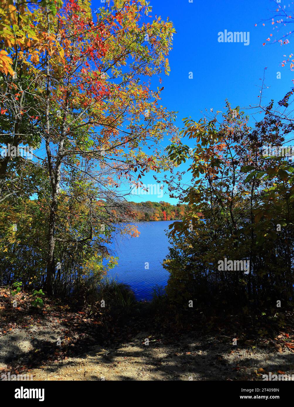 Blydenburgh park hi-res stock photography and images - Alamy