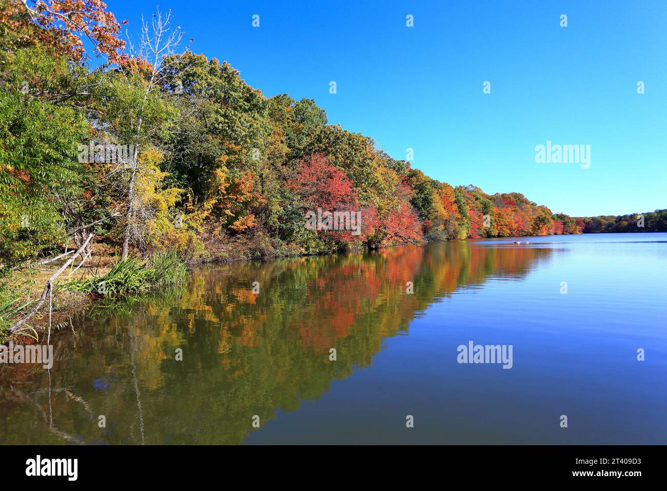 Long lake island hi-res stock photography and images - Alamy
