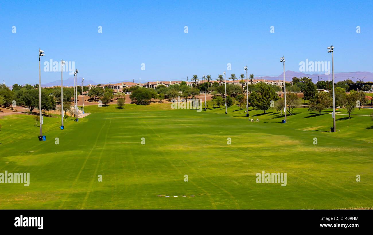 Large field palm trees trees hi-res stock photography and images - Alamy
