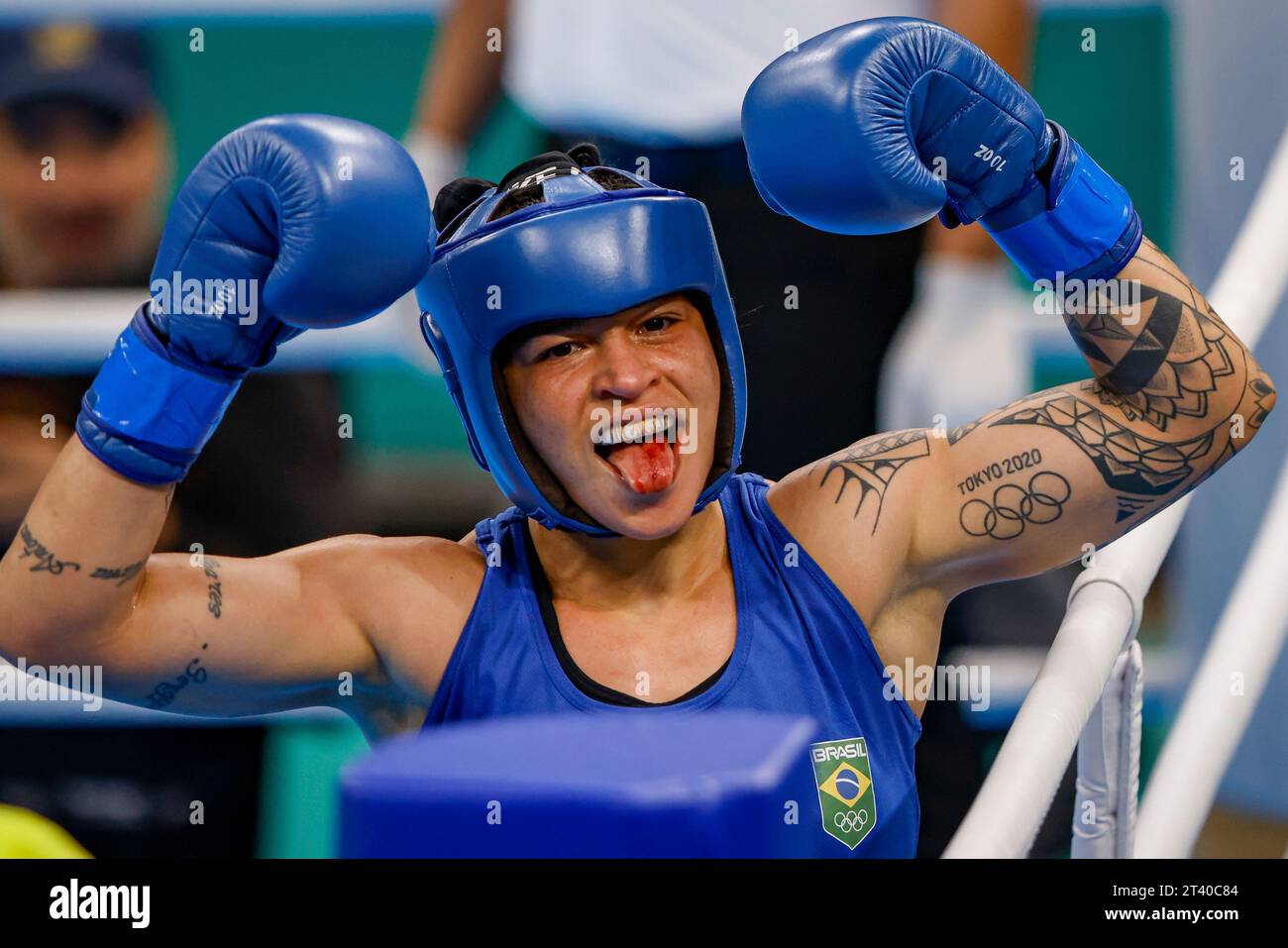 Santiago, Chile. 27th Oct, 2023. SANTIAGO, CHILE - OCTOBER 27 ...