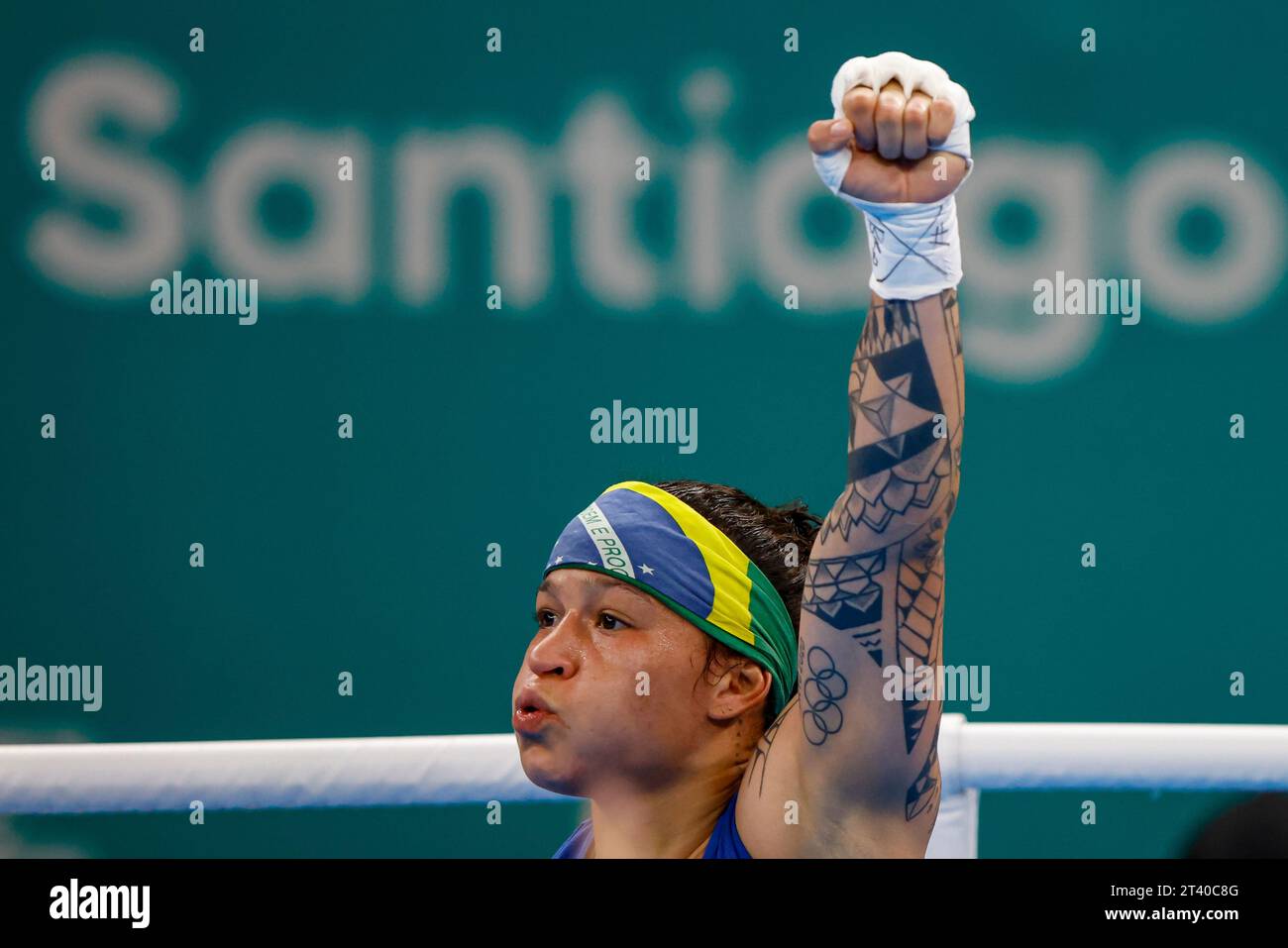 Santiago, Chile. 27th Oct, 2023. SANTIAGO, CHILE - OCTOBER 27 ...